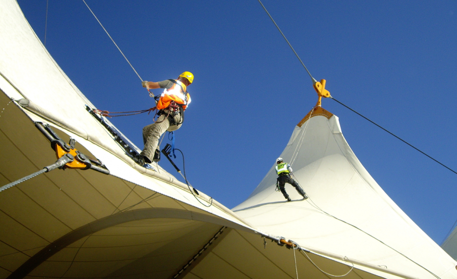 Canopy Cleaning - High Dunes