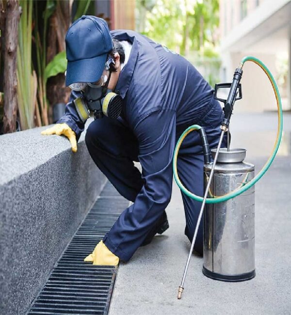 Bird & Pest Control - High Dunes